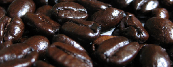 Portal Archives ⋆ The CaffiNation